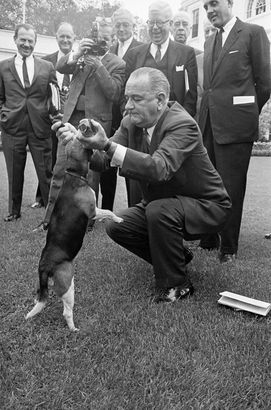 White House Pets | melacarnival.com
