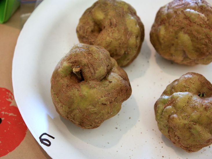 Fun Facts About Apples