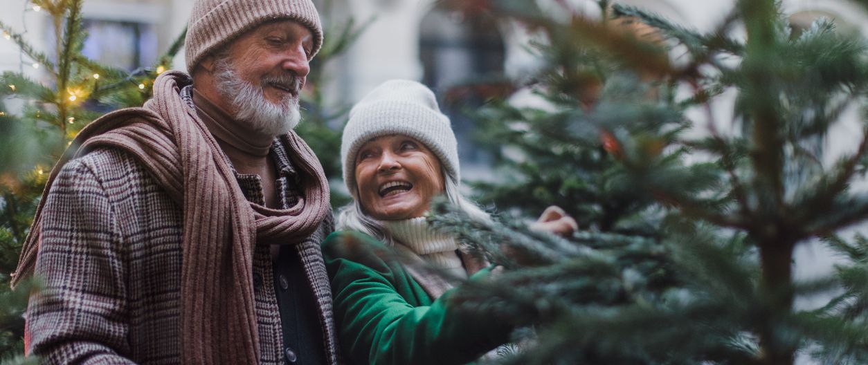 Real vs. Fake Christmas Trees in Every State