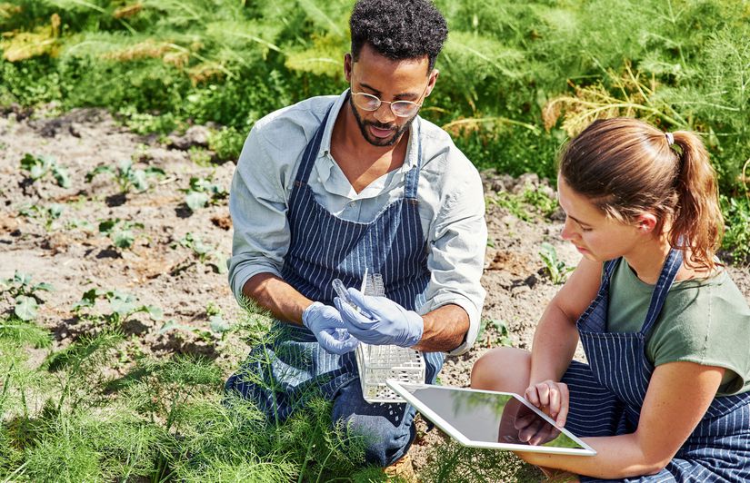 15 Well Paying Green Jobs That Are Good For The Environment
