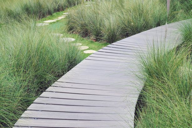 These Cheap, DIY Garden Path Ideas Can Add a Little Character to Your Yard These Cheap, DIY Garden Path Ideas Can Add a Little Character to Your Yard